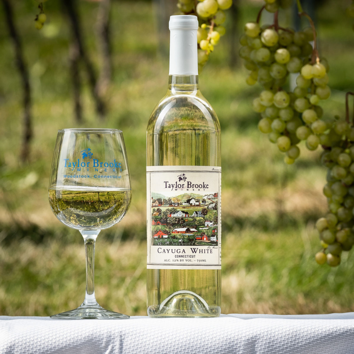 Wines - Taylor Brooke Winery